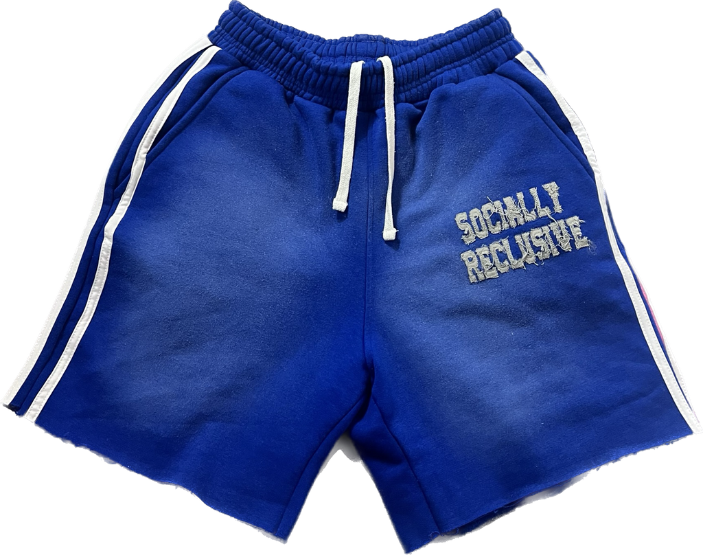 SOCIALLY RECLUSIVE
